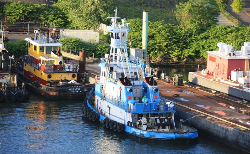 STEPHANIE DANN - Vesseljoin