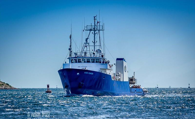 KINGS POINTER - Vesseljoin