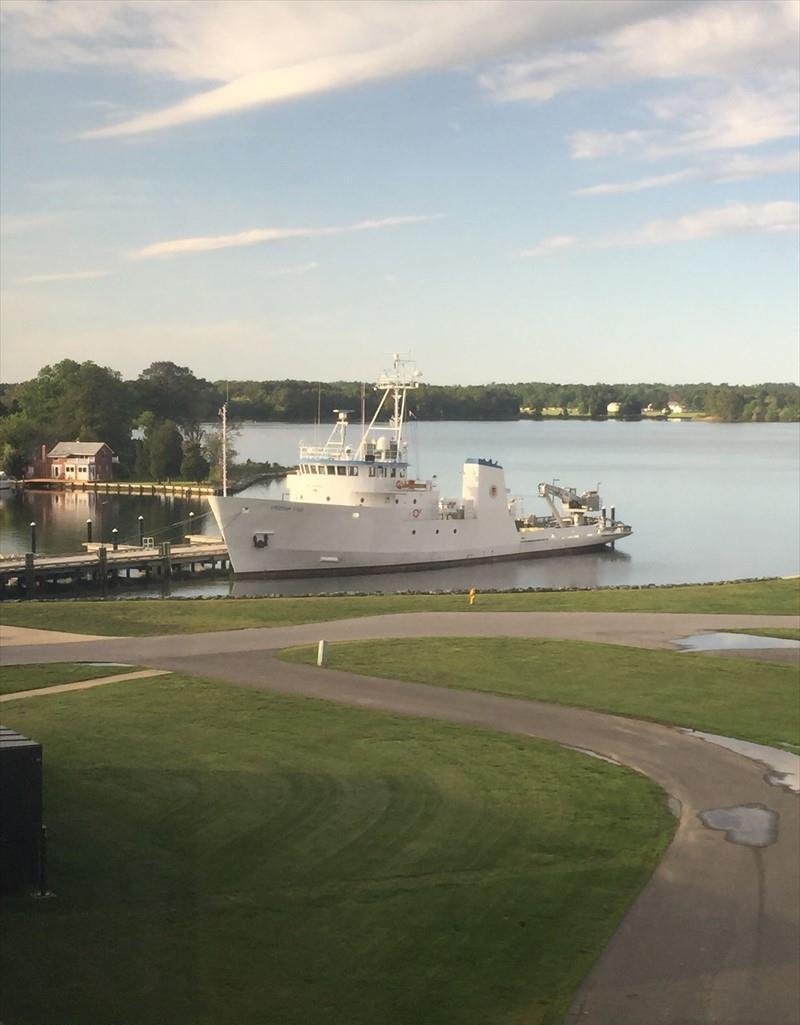 FREEDOM STAR - Vesseljoin