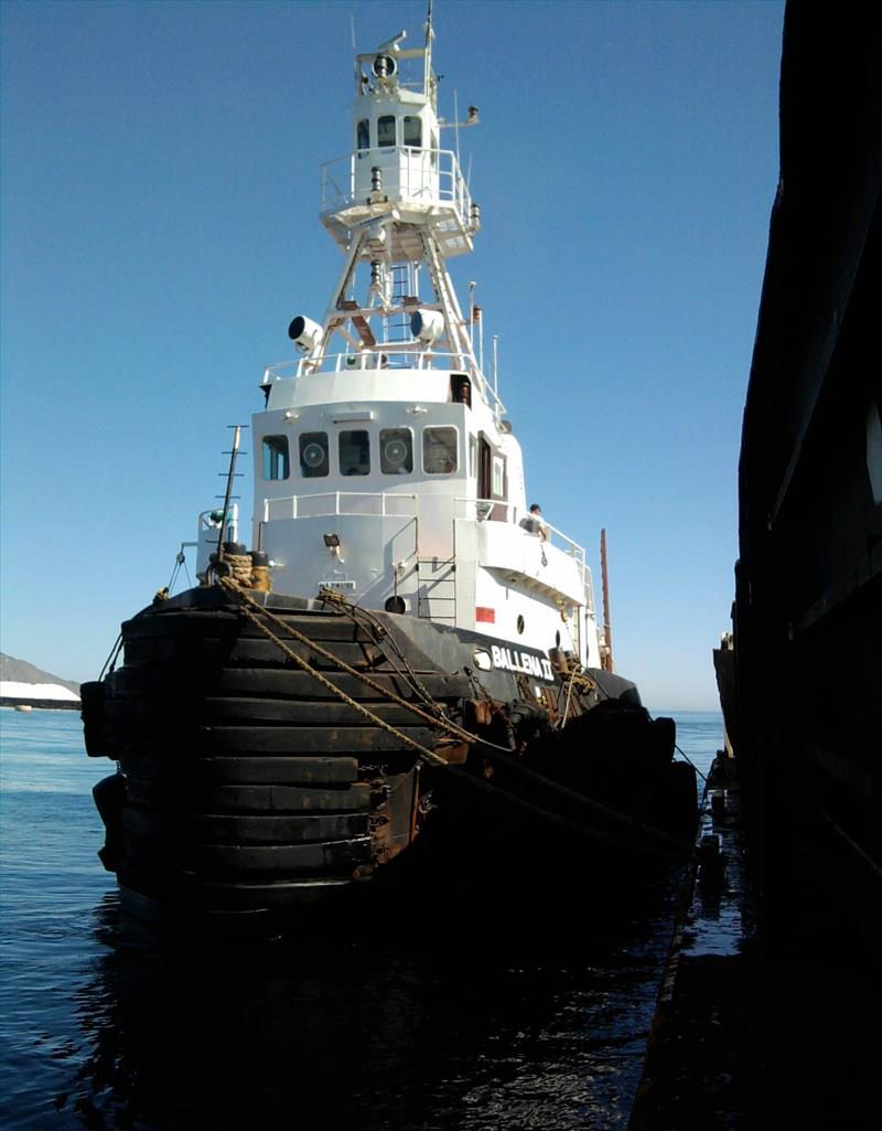 BALLENA II - Vesseljoin