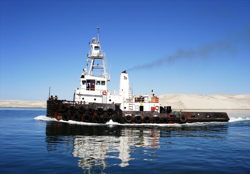 BALLENA II - Vesseljoin