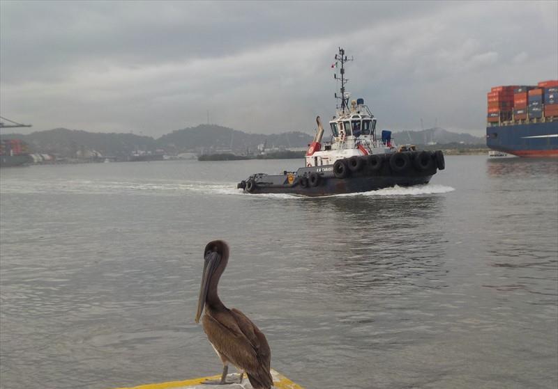 CMM TABASCO - Vesseljoin