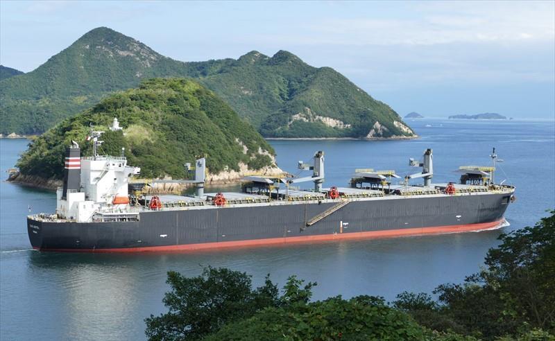 DAIO AUSTRAL - Vesseljoin