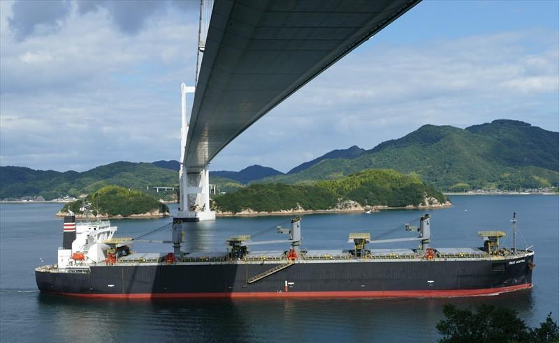 DAIO AUSTRAL - Vesseljoin