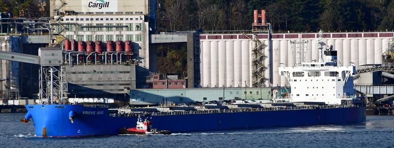 VIBEKE IRIS - Vesseljoin