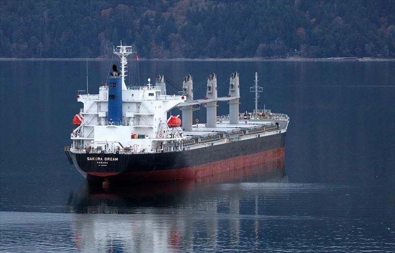 SAKURA DREAM - Vesseljoin