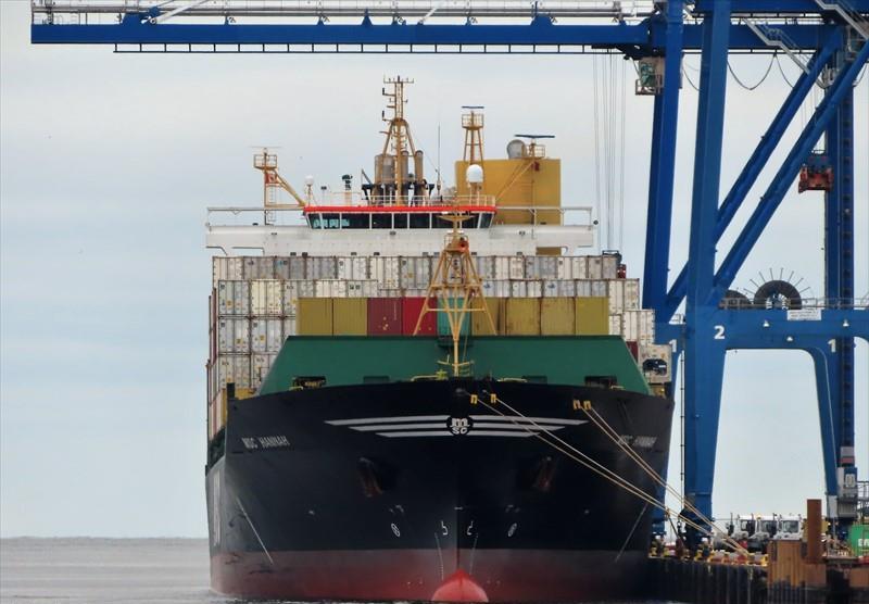 MSC HANNAH - Vesseljoin