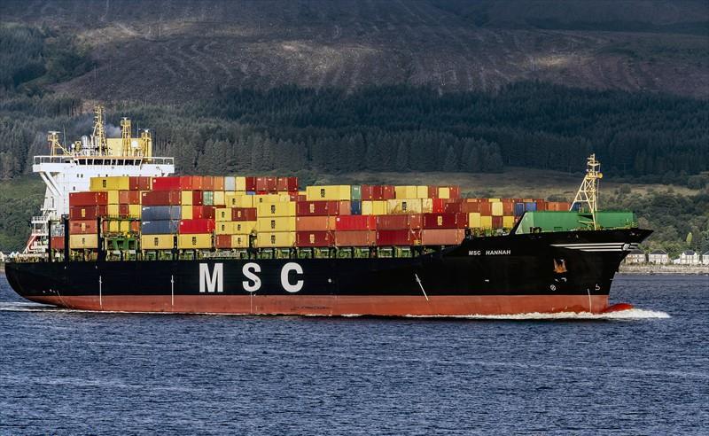 MSC HANNAH - Vesseljoin