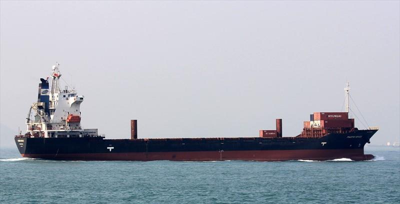 PACIFIC GRACE - Vesseljoin