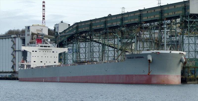 SCARLET CARDINAL - Vesseljoin