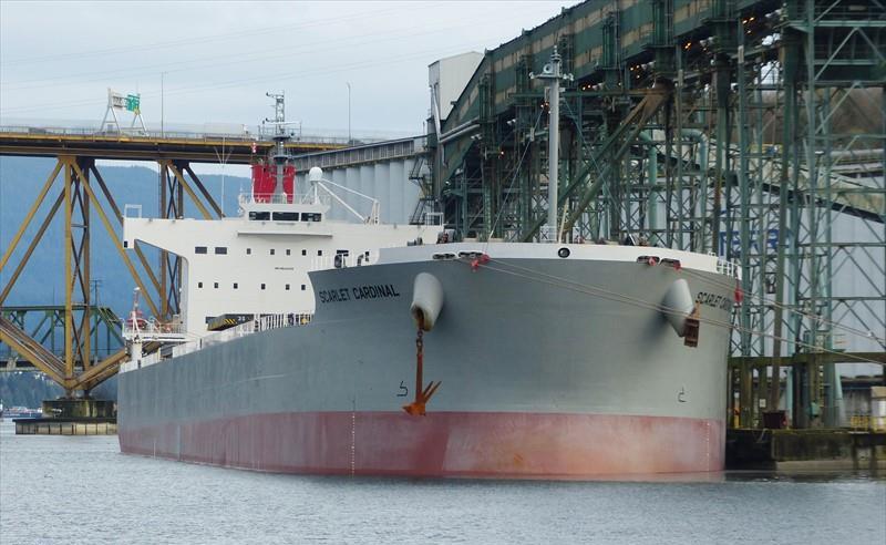 SCARLET CARDINAL - Vesseljoin