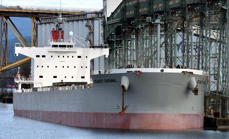 SCARLET CARDINAL - Vesseljoin