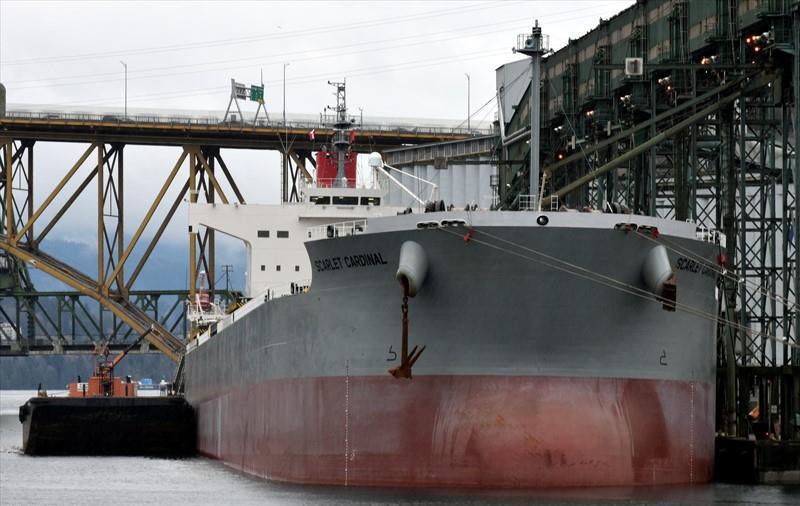 SCARLET CARDINAL - Vesseljoin