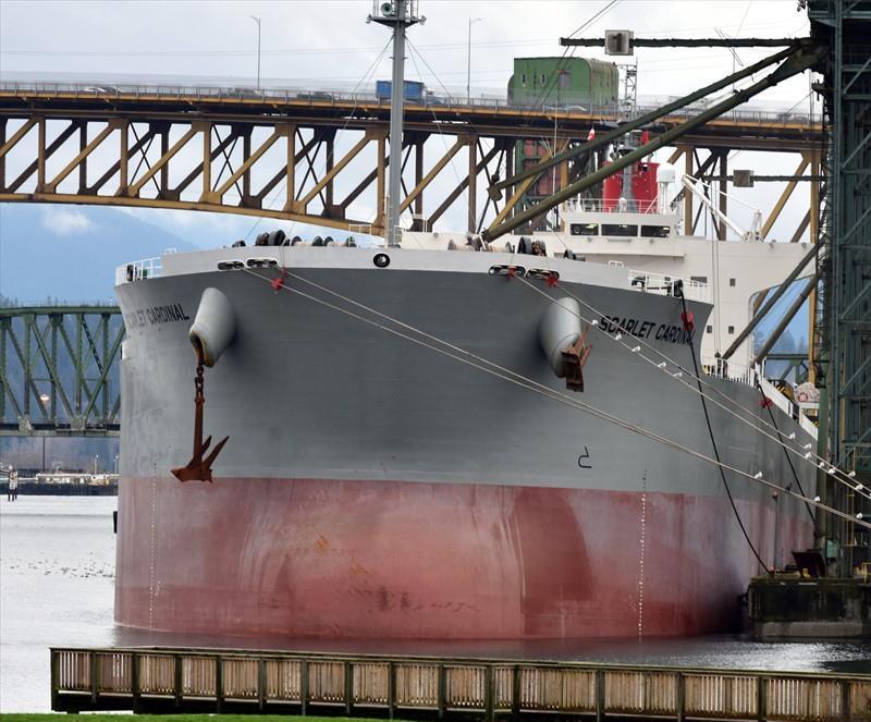 SCARLET CARDINAL - Vesseljoin