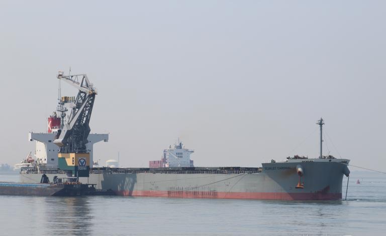 SCARLET CARDINAL - Vesseljoin