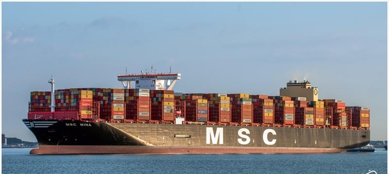 MSC MINA - Vesseljoin