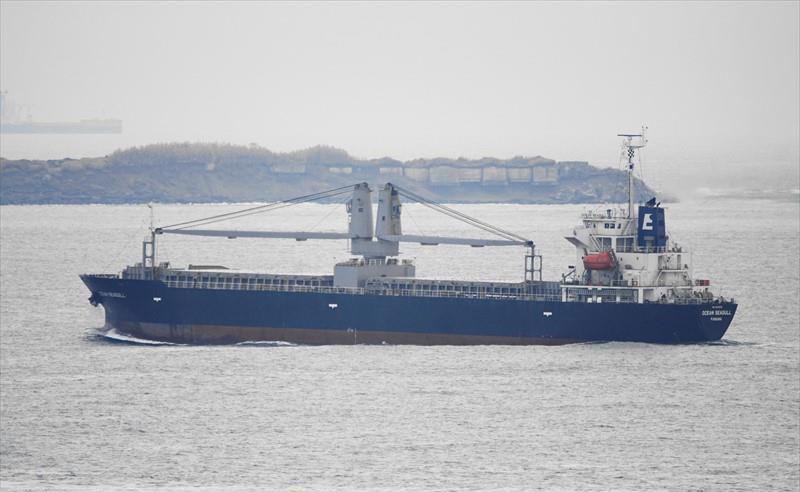 OCEAN SEAGULL - Vesseljoin