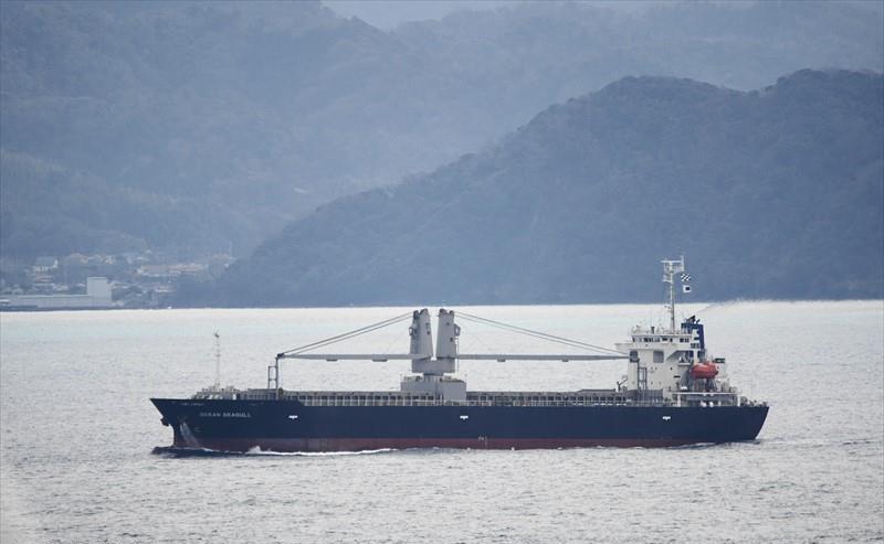 OCEAN SEAGULL - Vesseljoin