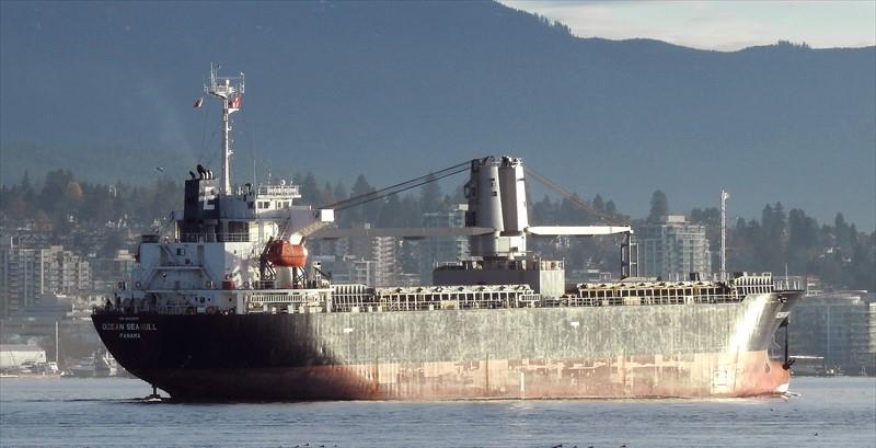 OCEAN SEAGULL - Vesseljoin