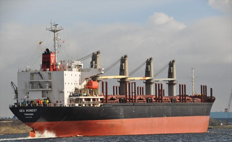 JIN SHAN (Bulk Carrier) - IMO: 9142100 | Vessel Details