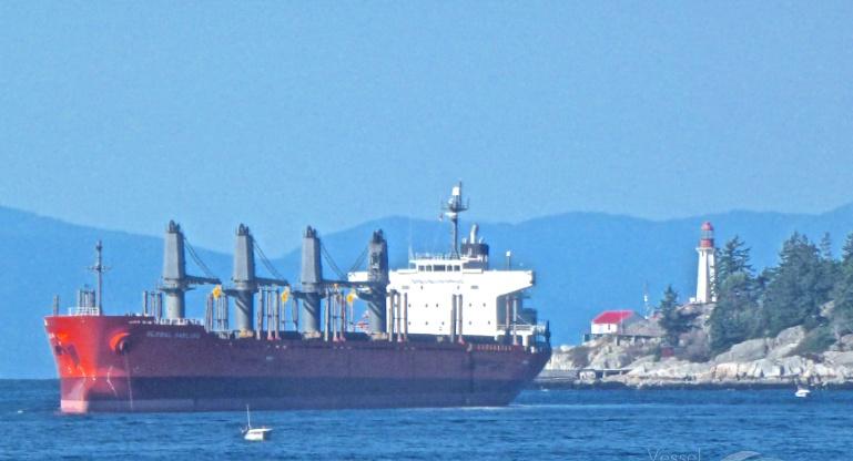 ASIAN HAWK - Vesseljoin