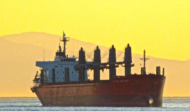 ASIAN HAWK - Vesseljoin