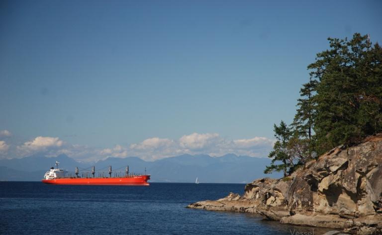 ASIAN HAWK - Vesseljoin