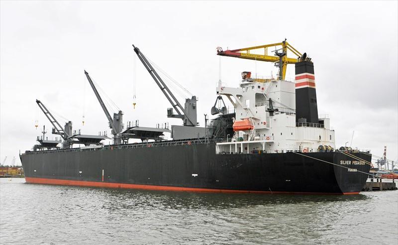 SILVER PEGASUS - Vesseljoin