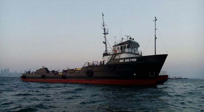 BIG DOLPHIN - Vesseljoin