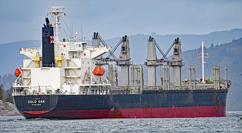 GOLD OAK - Vesseljoin