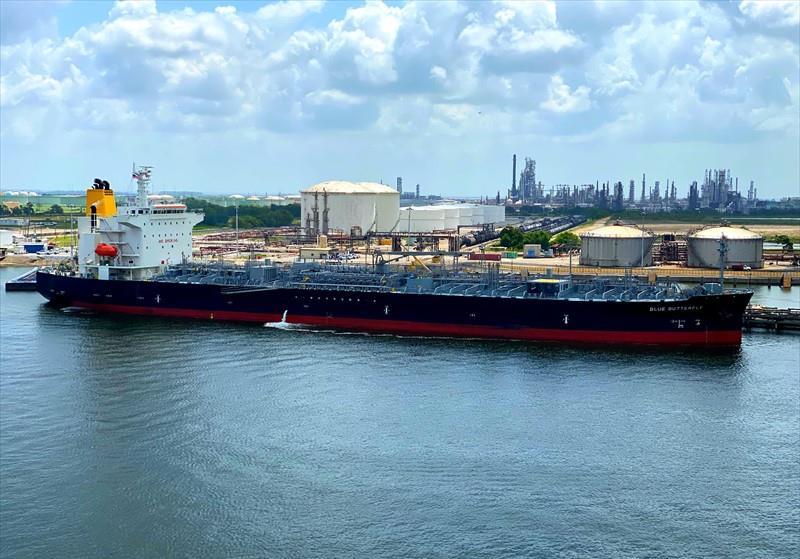 BLUE BUTTERFLY - Vesseljoin