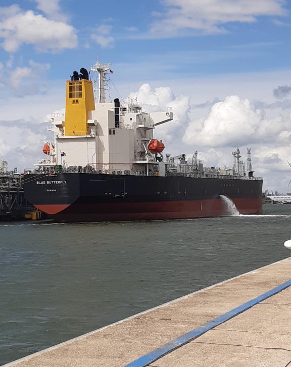 BLUE BUTTERFLY - Vesseljoin