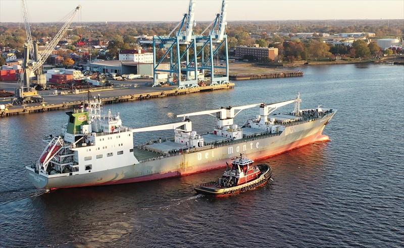 MARBELLA CARRIER - Vesseljoin