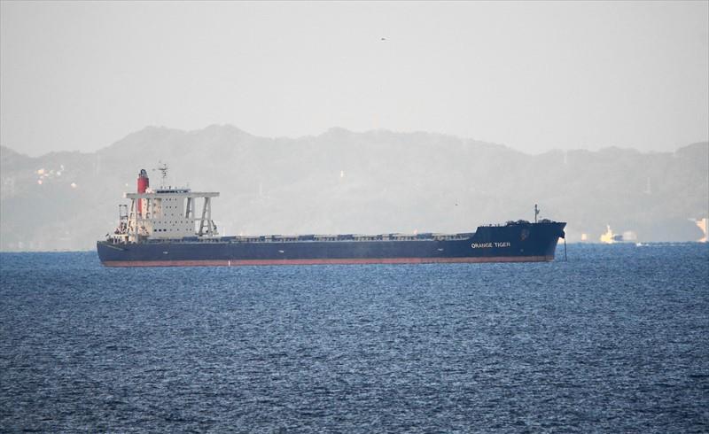 ORANGE TIGER - Vesseljoin