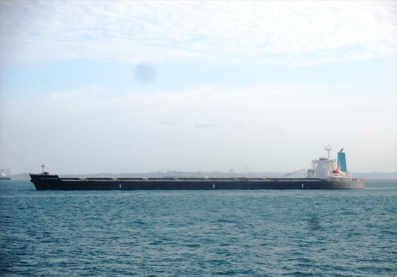 CAPE MATHILDE (Bulk Carrier) - IMO: 9409120 | Vessel Details