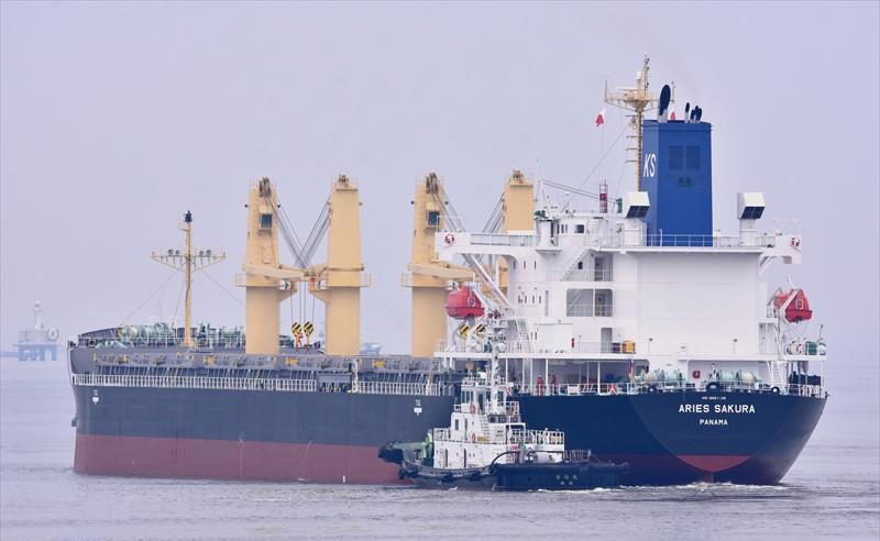 ARIES SAKURA - Vesseljoin