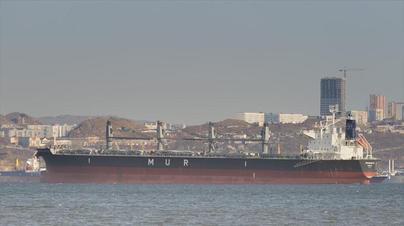 AFRICAN BATIS - Vesseljoin