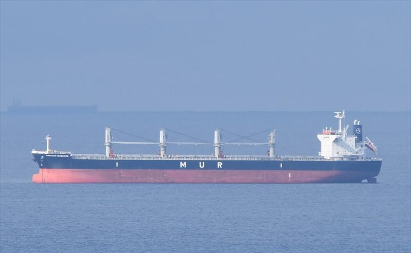 AFRICAN BUZZARD - Vesseljoin