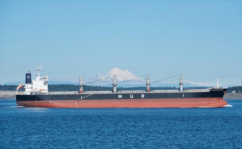 AFRICAN BUZZARD - Vesseljoin