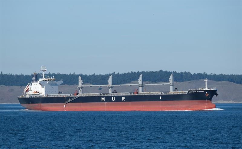 AFRICAN BUZZARD - Vesseljoin