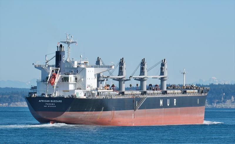 AFRICAN BUZZARD - Vesseljoin