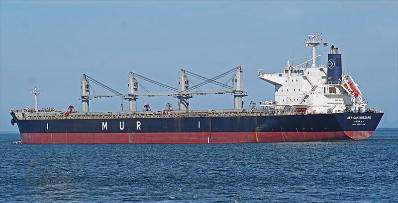 AFRICAN BUZZARD - Vesseljoin