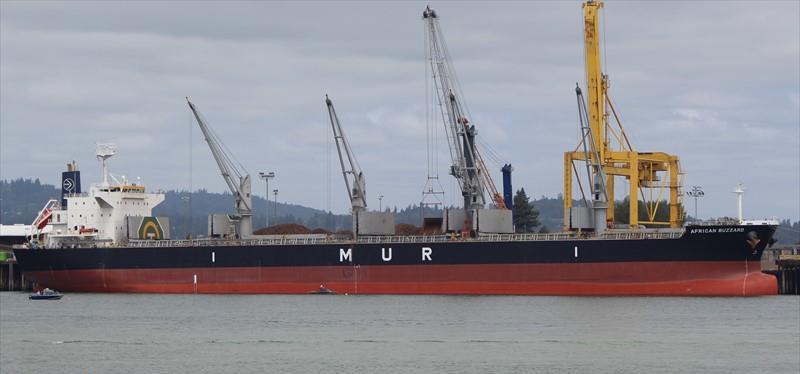 AFRICAN BUZZARD - Vesseljoin