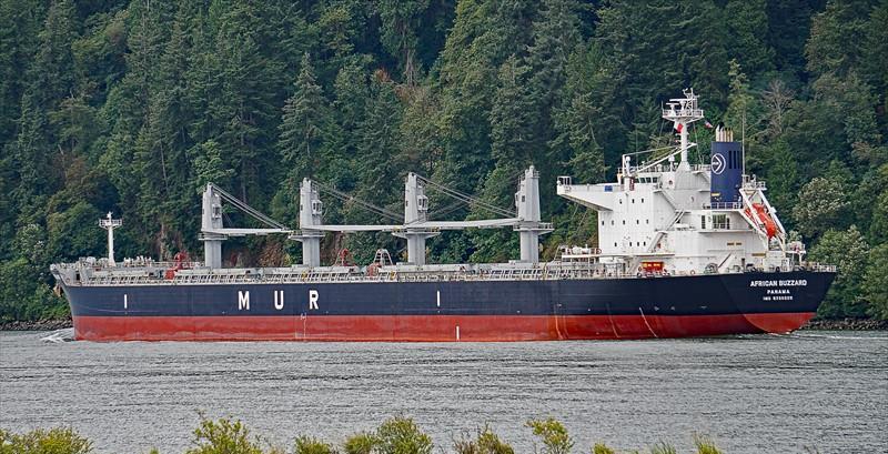 AFRICAN BUZZARD - Vesseljoin