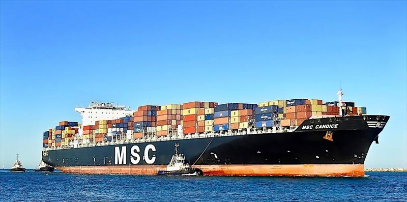MSC CANDICE - Vesseljoin