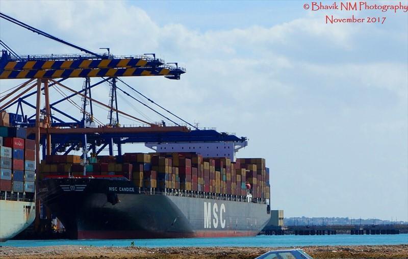 MSC CANDICE - Vesseljoin