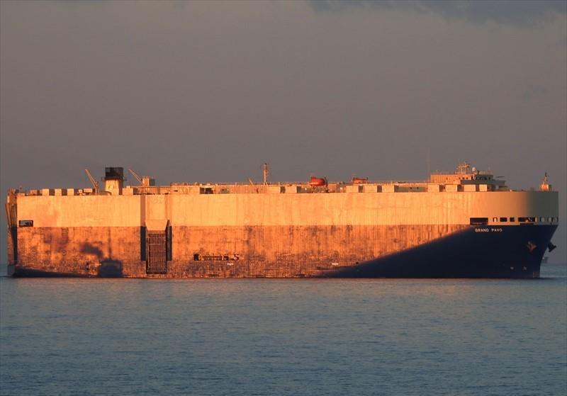 GRAND PAVO - Vesseljoin