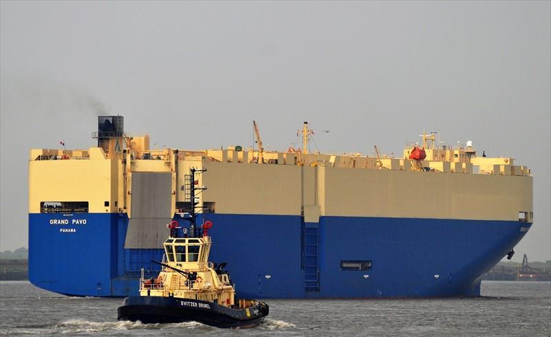 GRAND PAVO - Vesseljoin