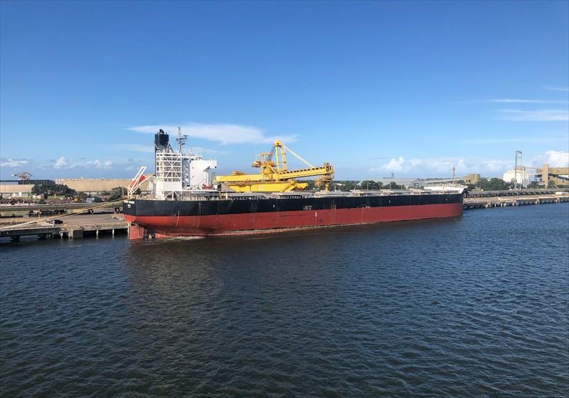 BRIGHT PEGASUS - Vesseljoin