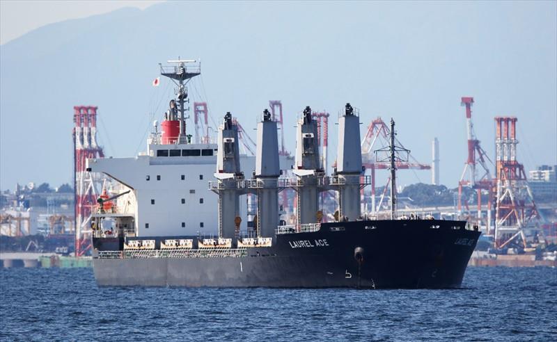 LAUREL ACE - Vesseljoin